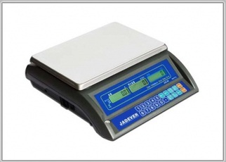 PT. VGA Scale Indonesia - JAKARTA