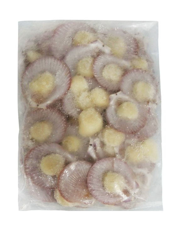 CB Frozen Food Sdn. Bhd. - Selangor